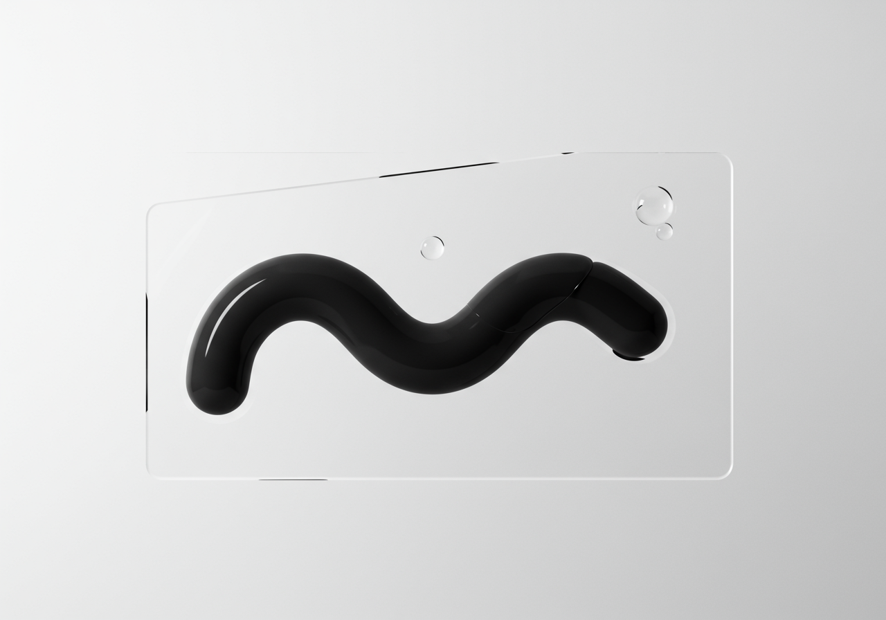 Realm by Rook | AI-Powered Digital Marketing, Web Development & SEO Agency